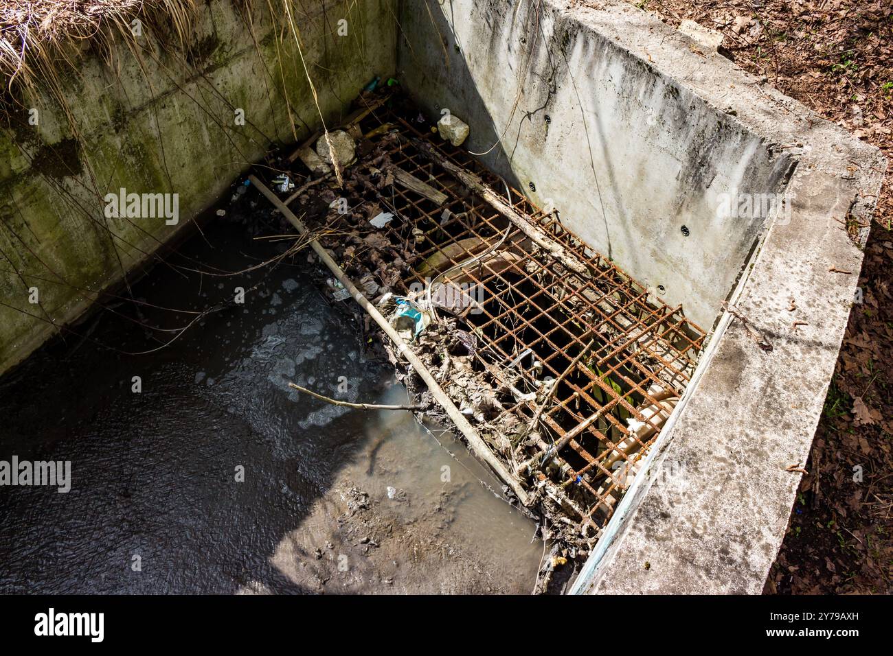 Rain collector grate covered with accumulated debris Stock Photo - Alamy