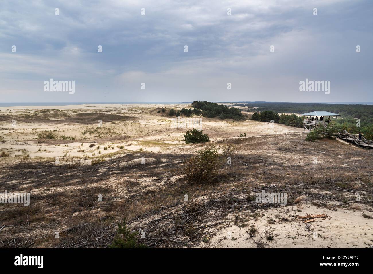 View of Dune Ridge and Curonian Lagoon from Efa height. Observation ...