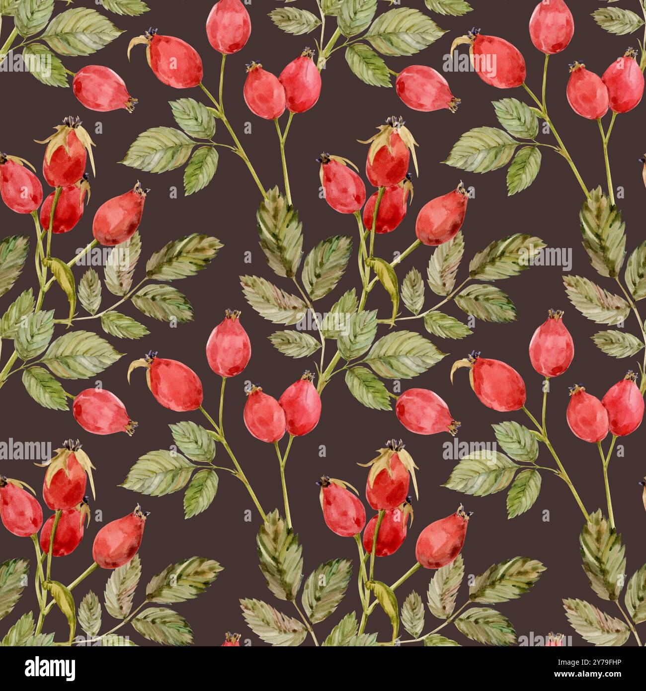 Watercolor dog-rose Briar pattern, berries and green leaves on brown ...