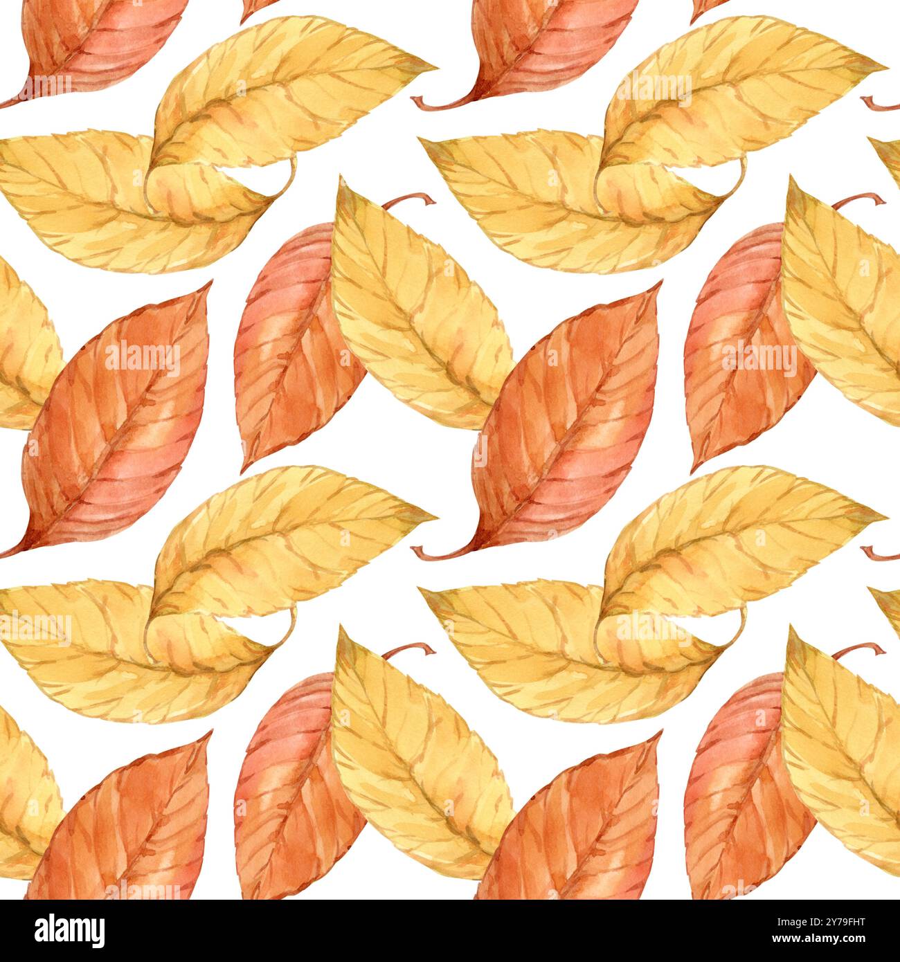 Seamless texture. Autumn leaves painted with watercolors on an isolated ...