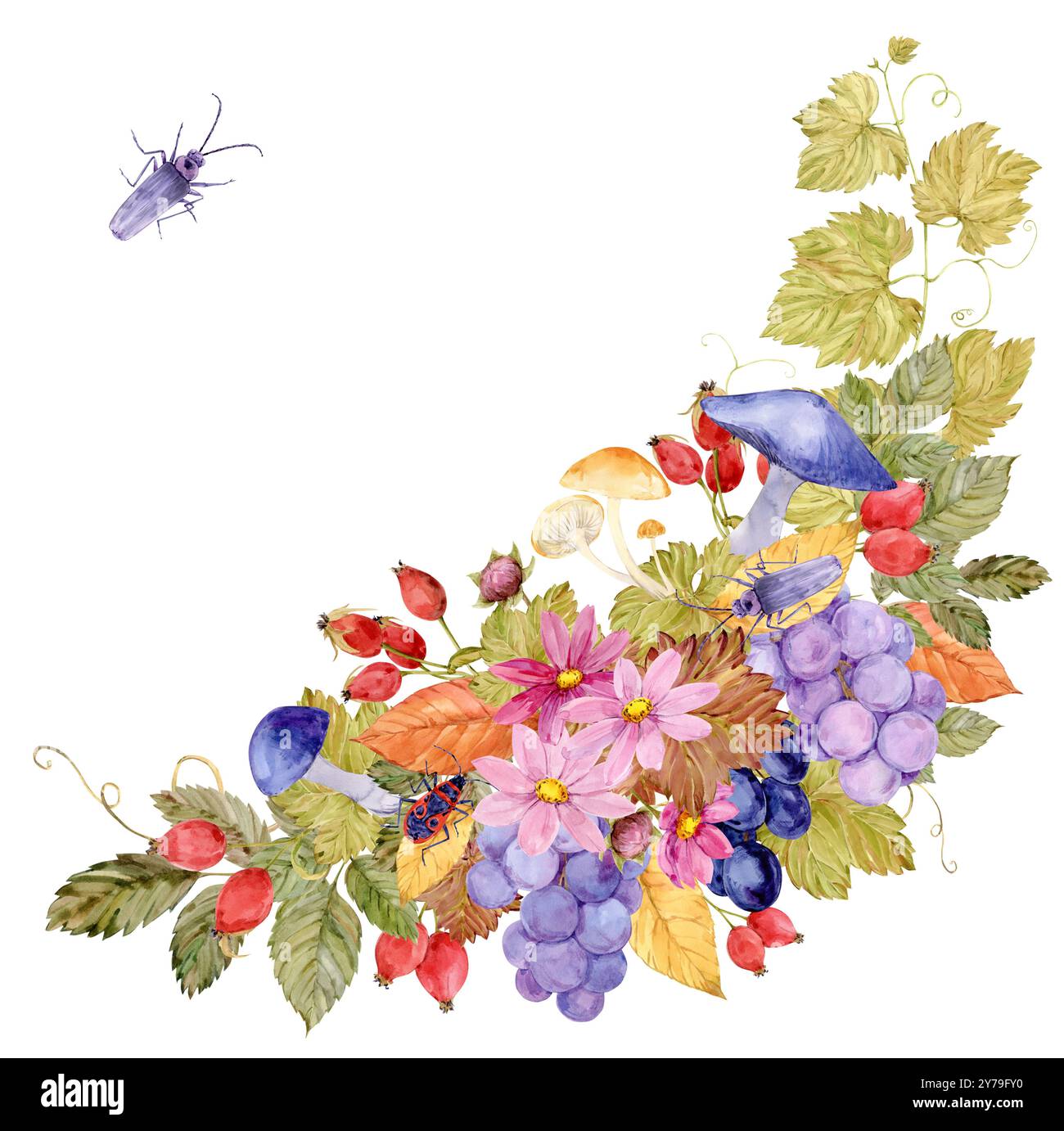 Forest harvest autumn watercolor Cut Out Stock Images & Pictures - Alamy