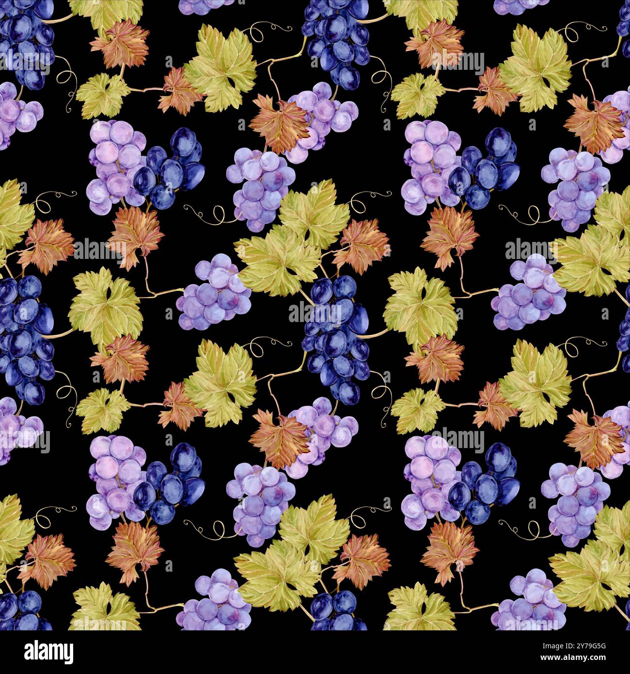 Seamless background with grapevine. Watercolor lilac and dark blue ...