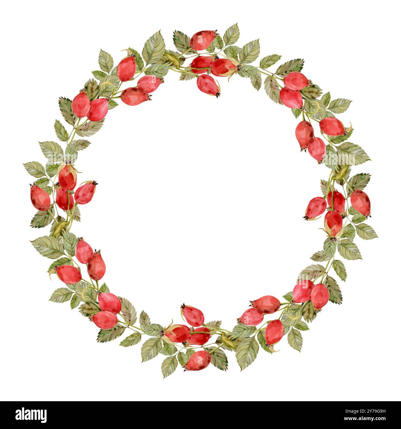 Watercolor frame of rose hips, berries and green leaves isolated on ...