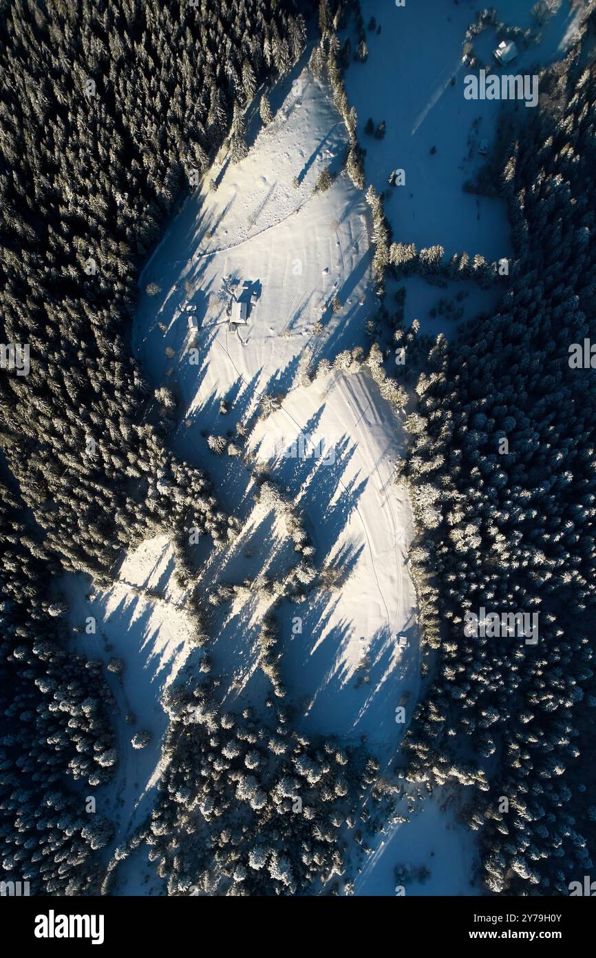 Aerial view top-down snow-covered landscape with dense forests and open ...