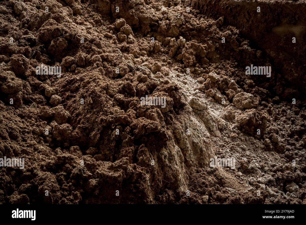 Large pile of earth in which there are many metal reinforcement bars ...