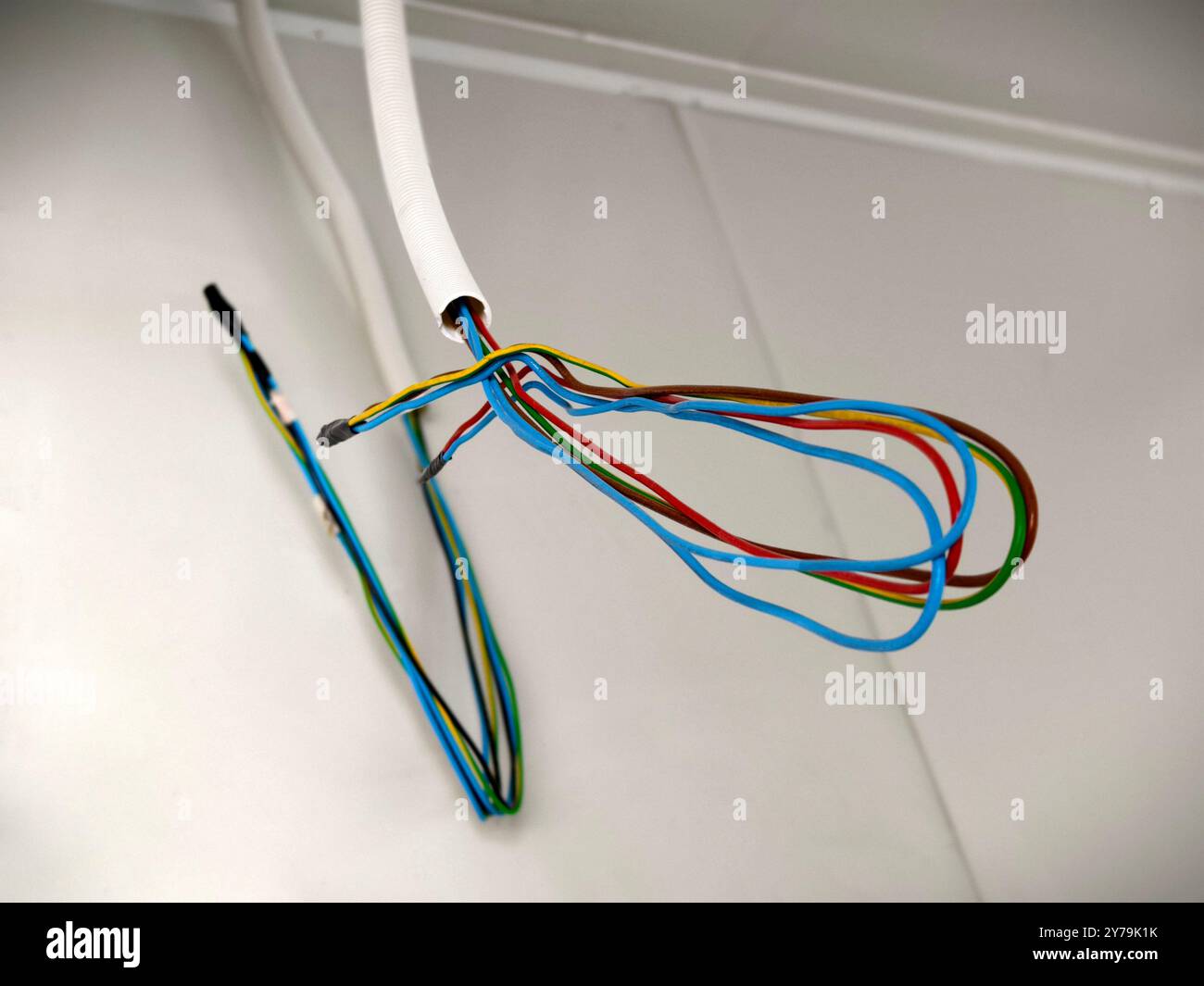 A collection of various wires is hanging down from the ceiling Stock ...