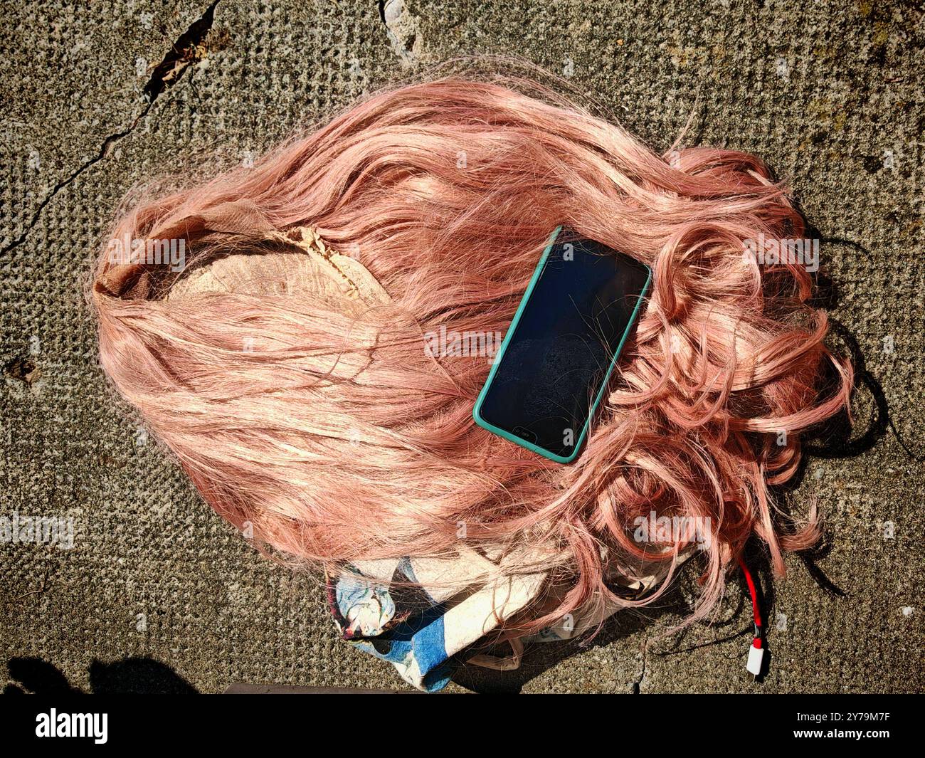 the hairstyle of a human being, hairs on the head hairstyle of a human ...