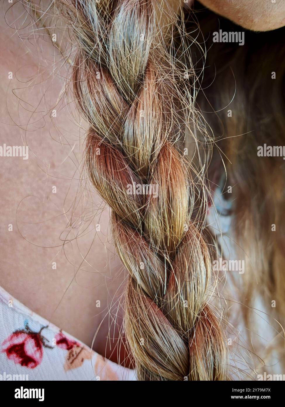 the hairstyle of a human being, hairs on the head hairstyle of a human ...