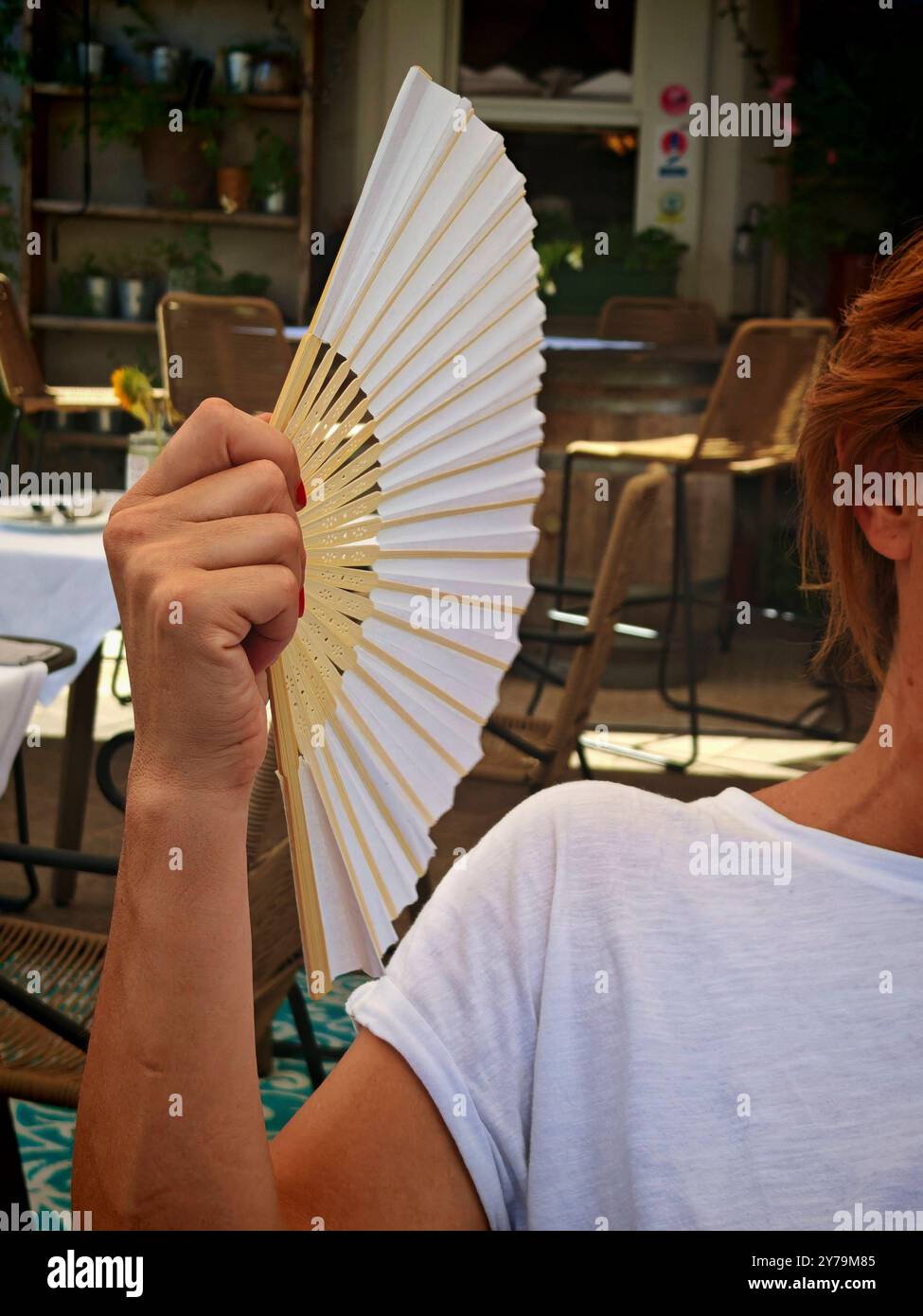 wind as a natural phenomenon, movement of air on the earth wind as a ...