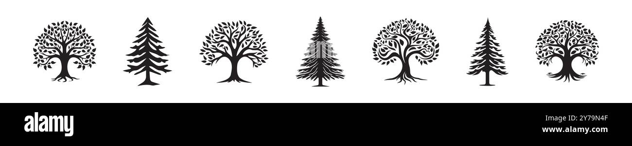 Deciduous evergreen forest in Cut Out Stock Images & Pictures - Alamy