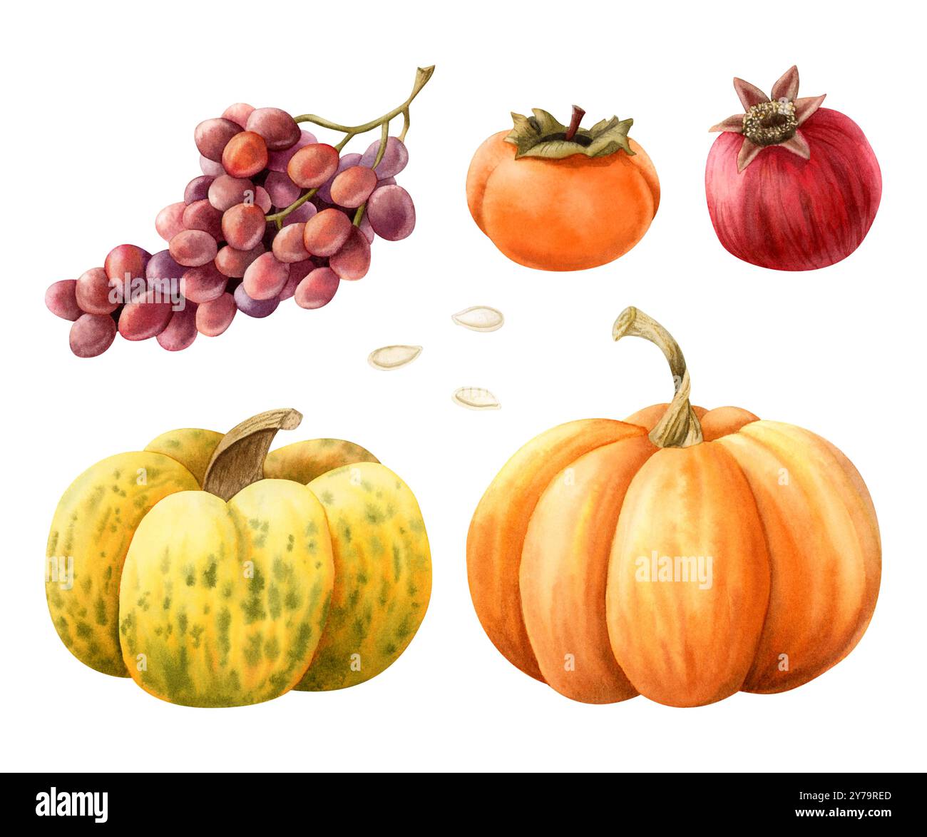 October fall vegetables and fruits watercolor illustration set. Yellow ...