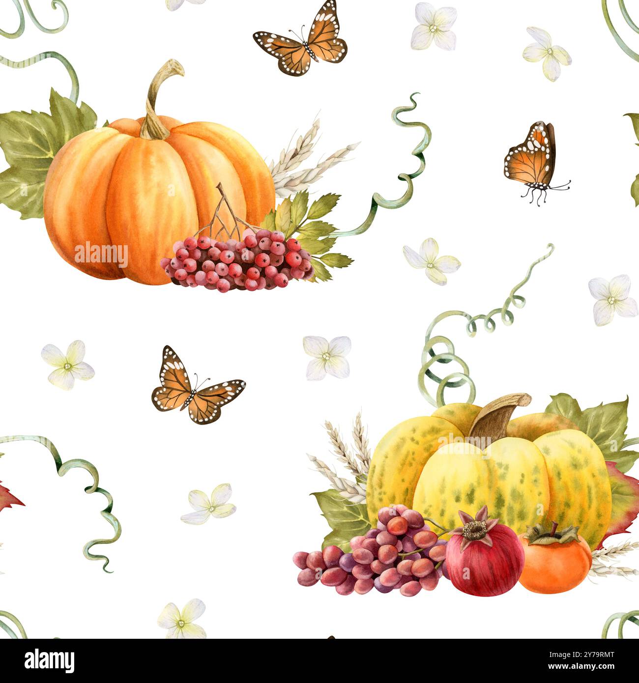 Fall vegetables and fruits harvest with butterflies tiny flowers ...