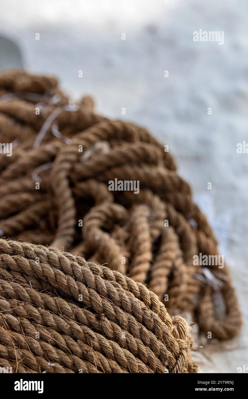 coiled ropes, tangled ropes next to neat coil, natural fibre cordage ...