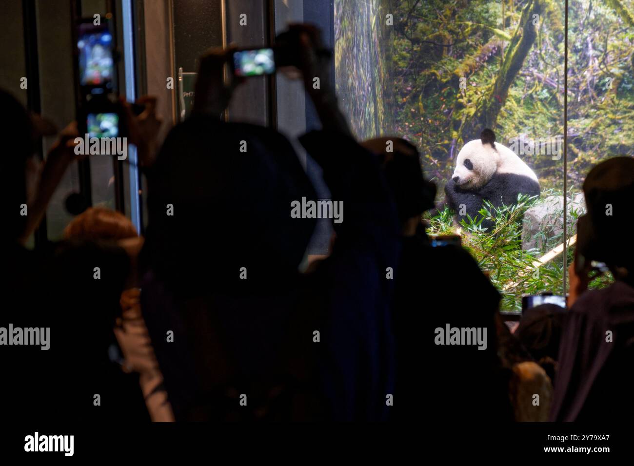 (240929) -- TOKYO, Sept. 29, 2024 (Xinhua) -- Visitors take photos of ...