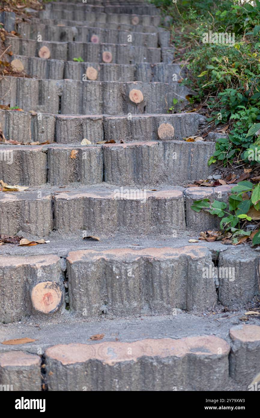 Steps up to the hill with wooden log shape Stock Photo - Alamy