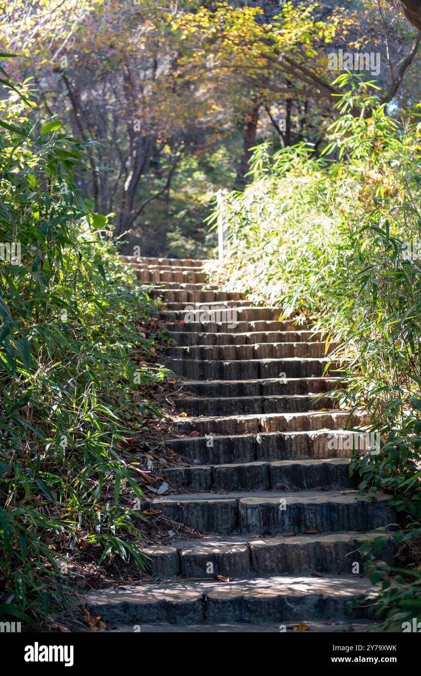 Steps up to the hill with wooden log shape Stock Photo - Alamy