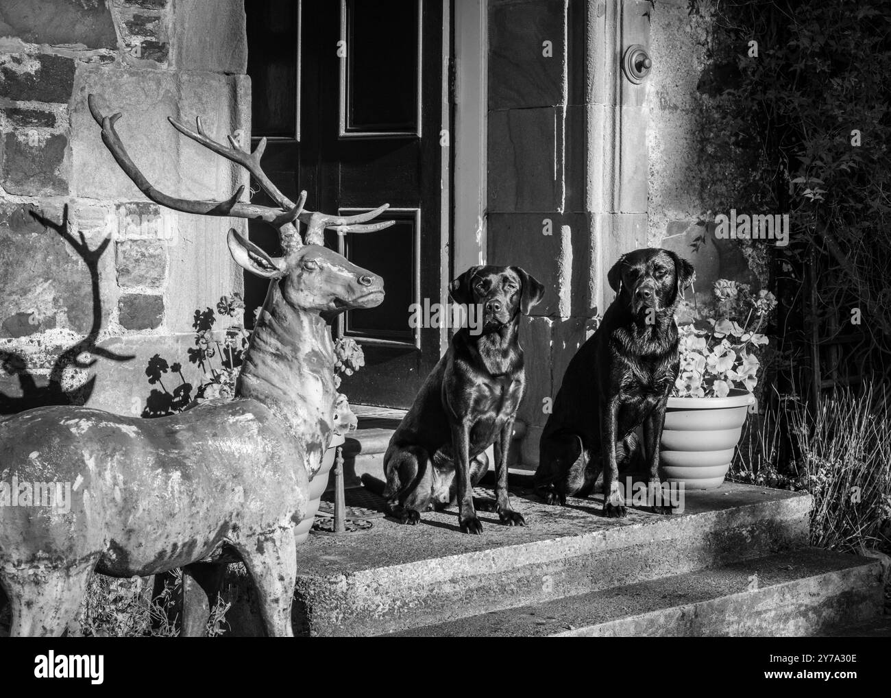 Deer lodge Black and White Stock Photos & Images - Alamy