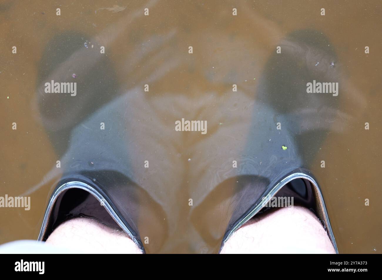 Sit submerged in flood water hi-res stock photography and images - Alamy