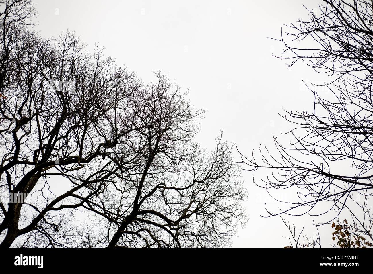 Grey line design against hi-res stock photography and images - Alamy