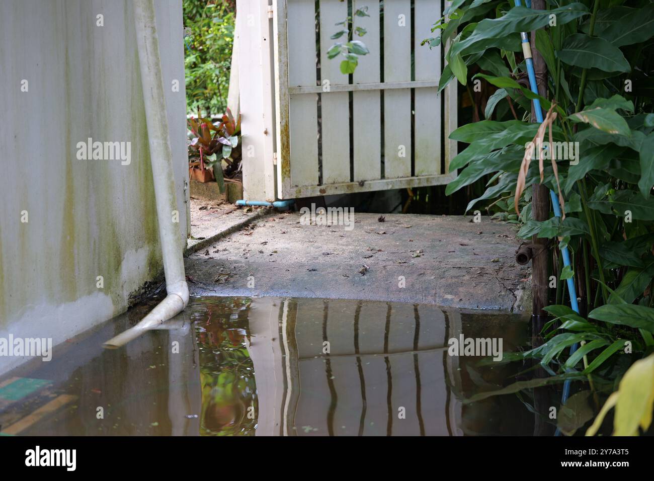 High flood level nearly flows into the gate of the house, with stagnant ...