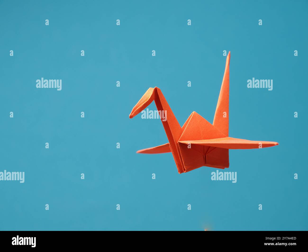 Origami crane on a blue background, luck or success concept RECORD DATE ...