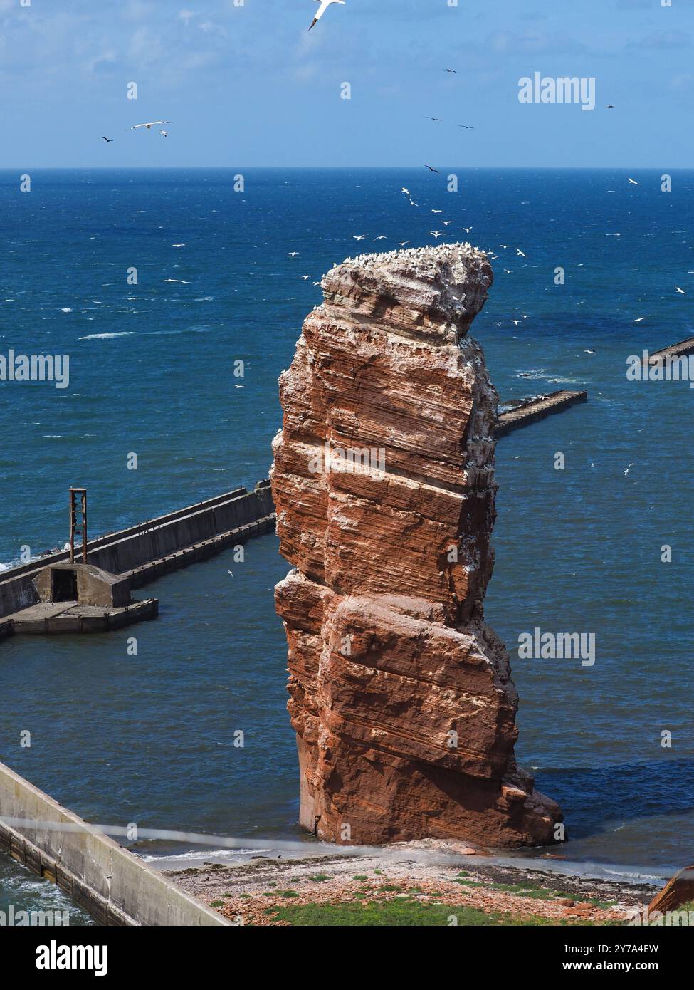Lange Anna or Tall Anna, 47-metre-high sea stack of Buntsandstein in the North Sea island of ...
