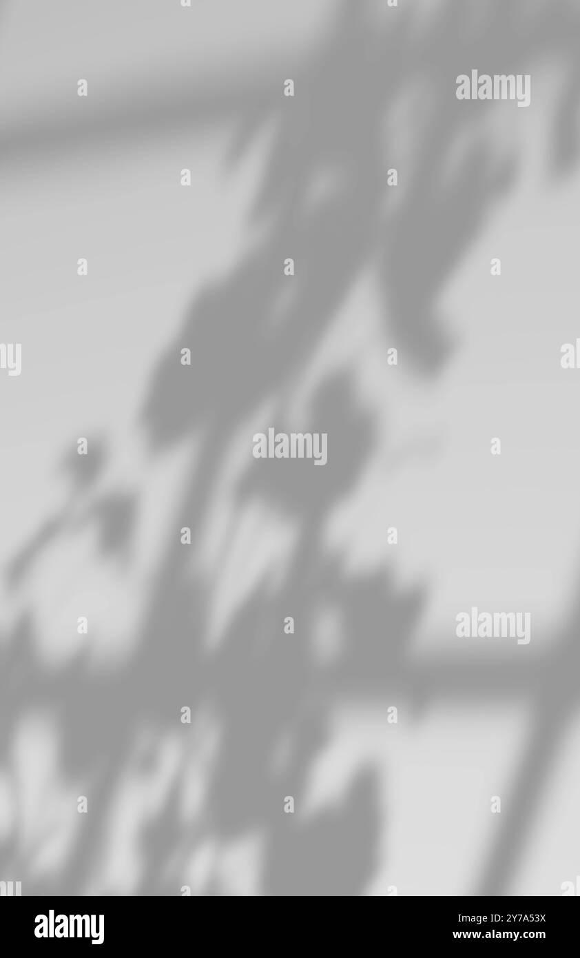 Overlay backdrop with a window frame shadow using as background RECORD ...