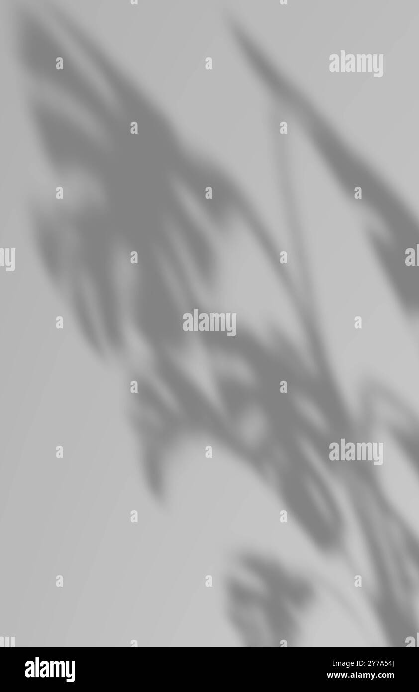 Overlay backdrop with a window frame shadow using as background RECORD ...