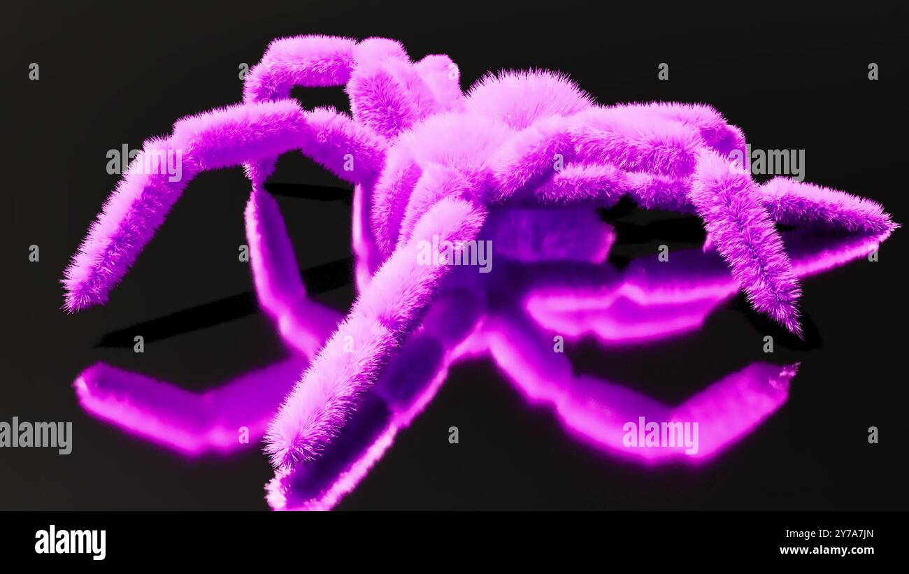 Pink purple spider on mirror surface walk run 3d render Stock Photo - Alamy