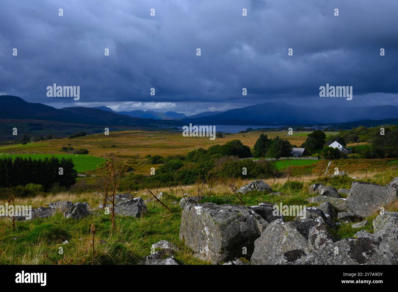 Trawsfynydd Lake and the mountains of Snowdonia (Eryri) from Bronaber ...