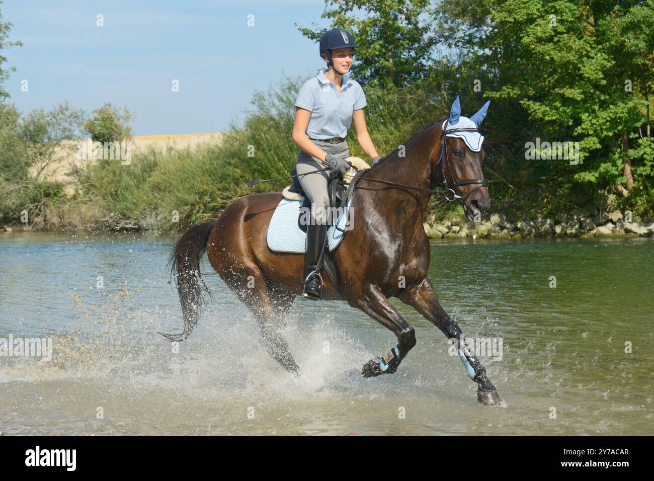 Young rider on thoroughbred horse galopping in the Isar river (Bavaria ...
