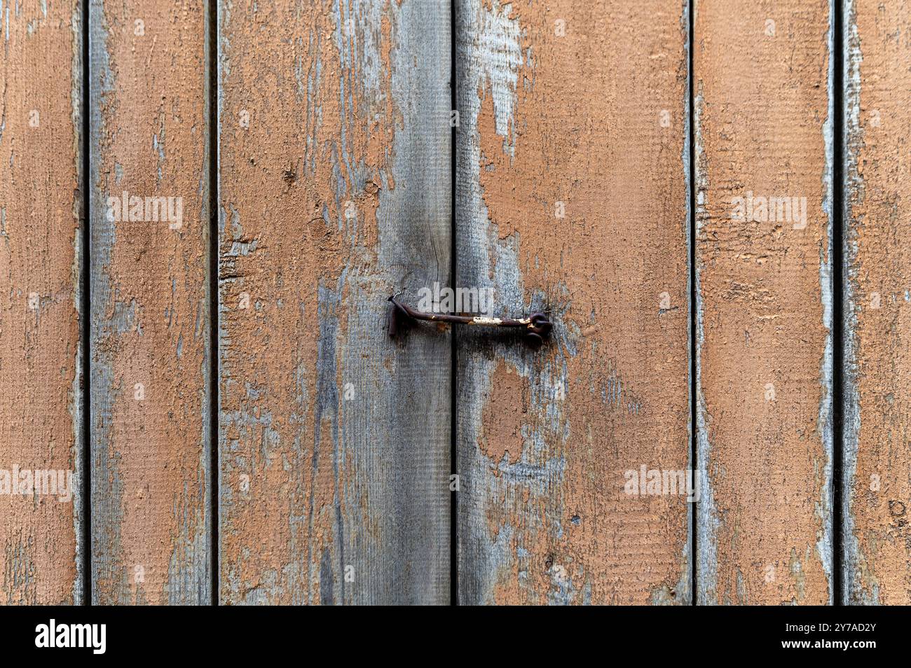 A close-up view reveals a rustic wooden fence with a rusty nail and ...