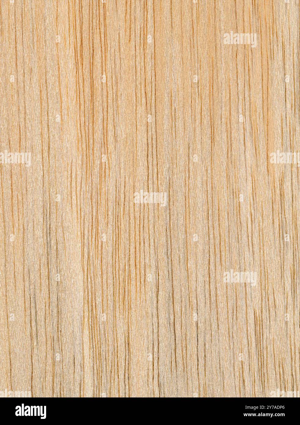 Balsa tree hi-res stock photography and images - Alamy