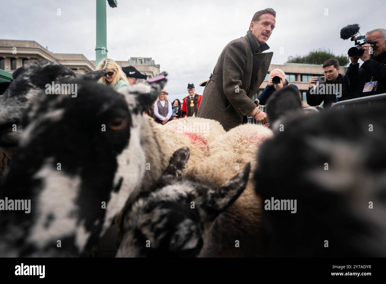Damien Lewis drives sheep over Southwark Bridge, London, in the 11th ...