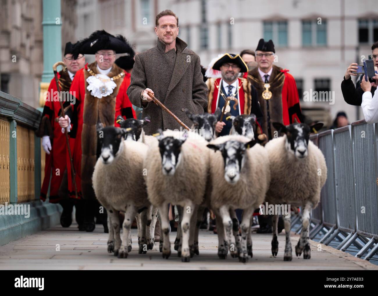 Damien Lewis drives sheep over Southwark Bridge, London, in the 11th ...