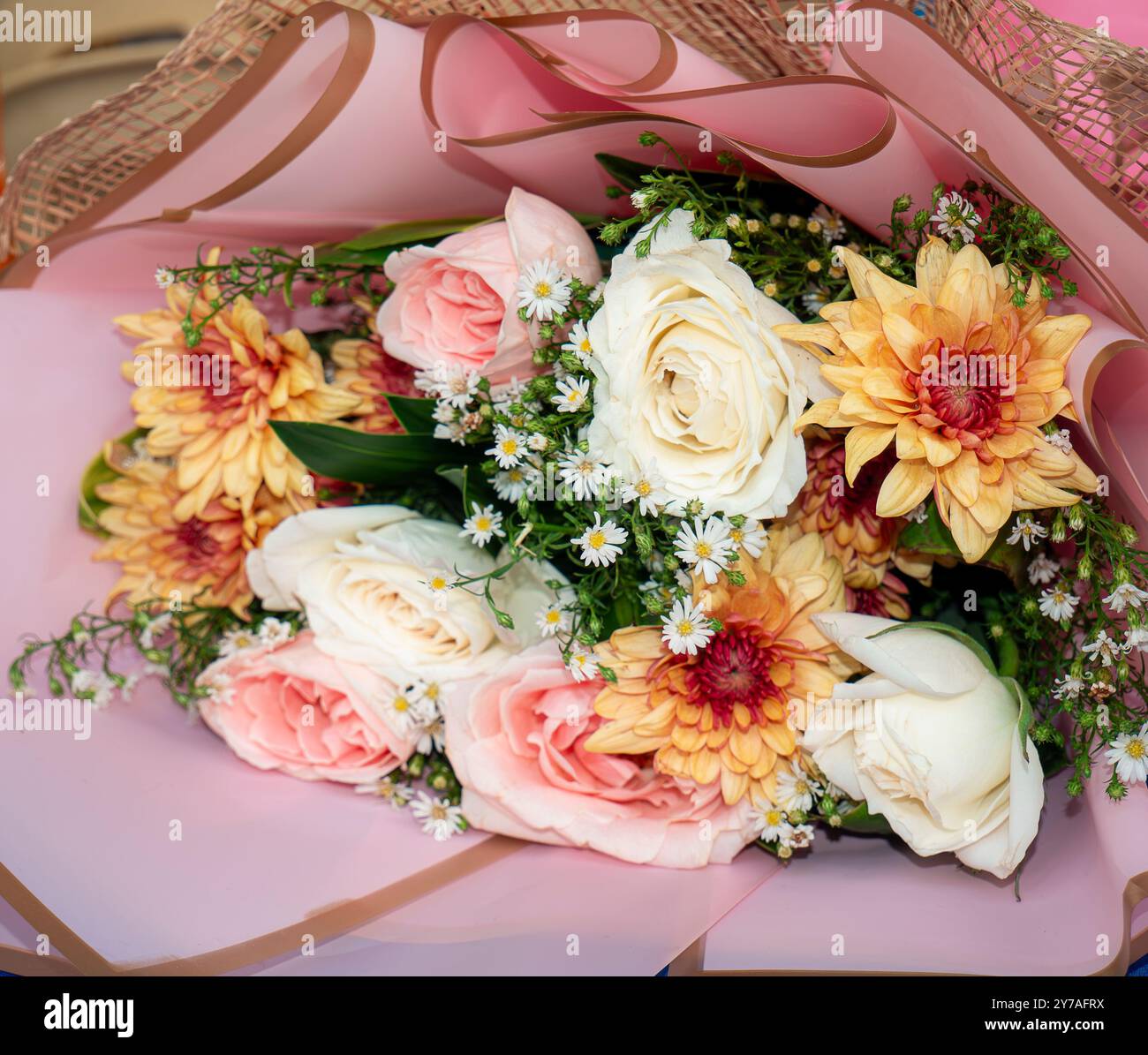 Blossoming pink flowers roses hi-res stock photography and images - Alamy