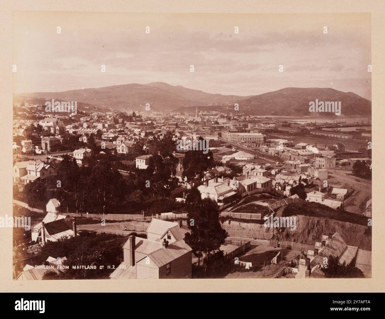 City of Dunedin from Maitland Street. Panoramic over view of the town ...