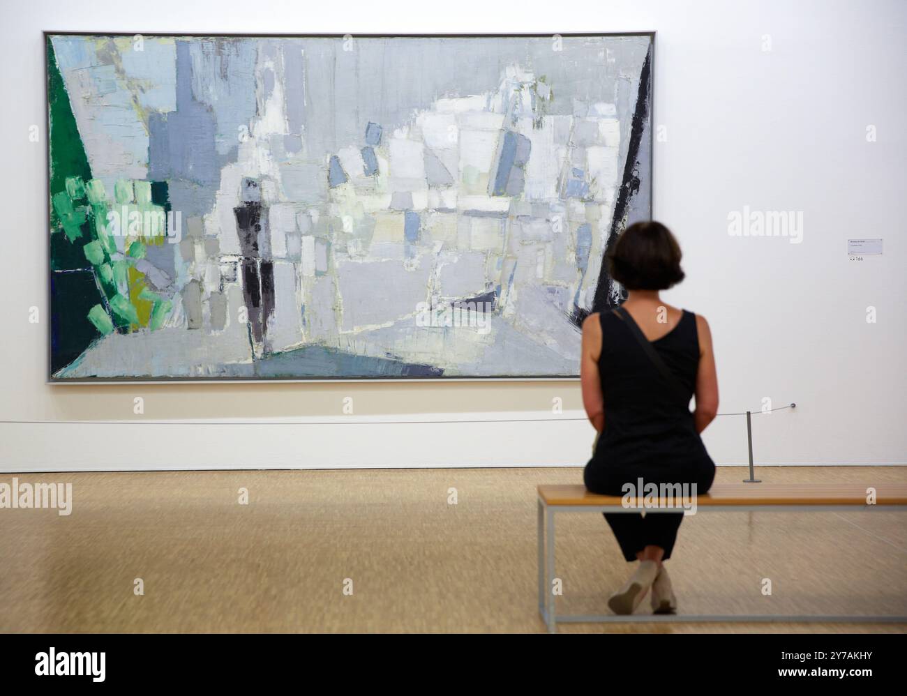 Nicolas de staël paris hi-res stock photography and images - Alamy