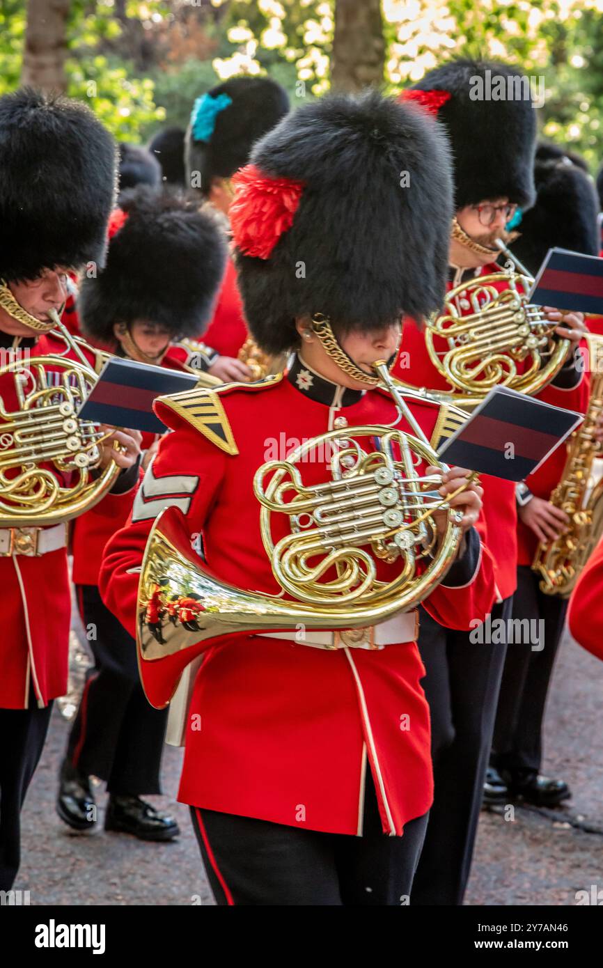 French Horn player of the Coldstream Guards, Birdcage Walk, London ...