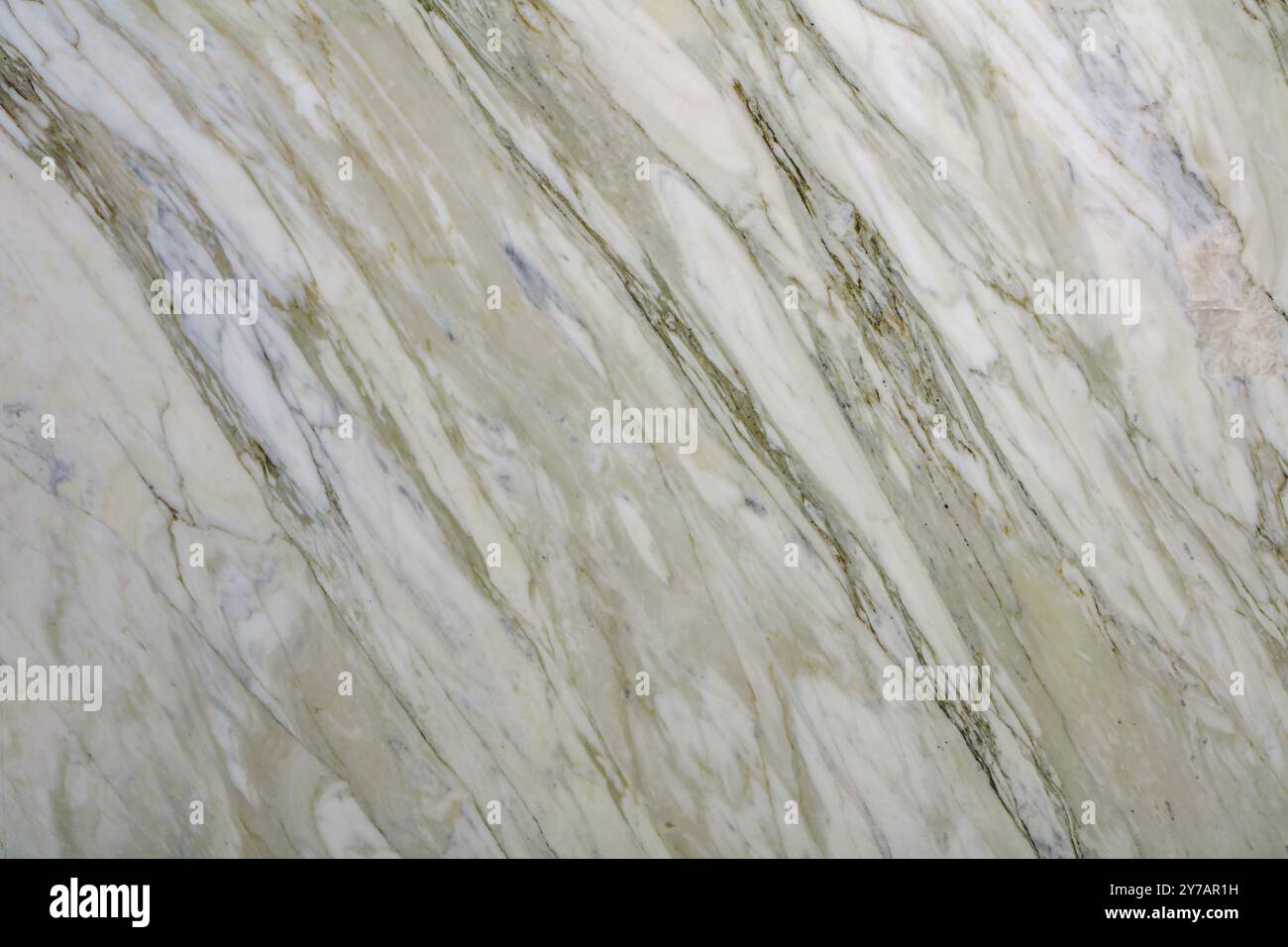 Natural white marble with bold green veins, perfect for high-end ...