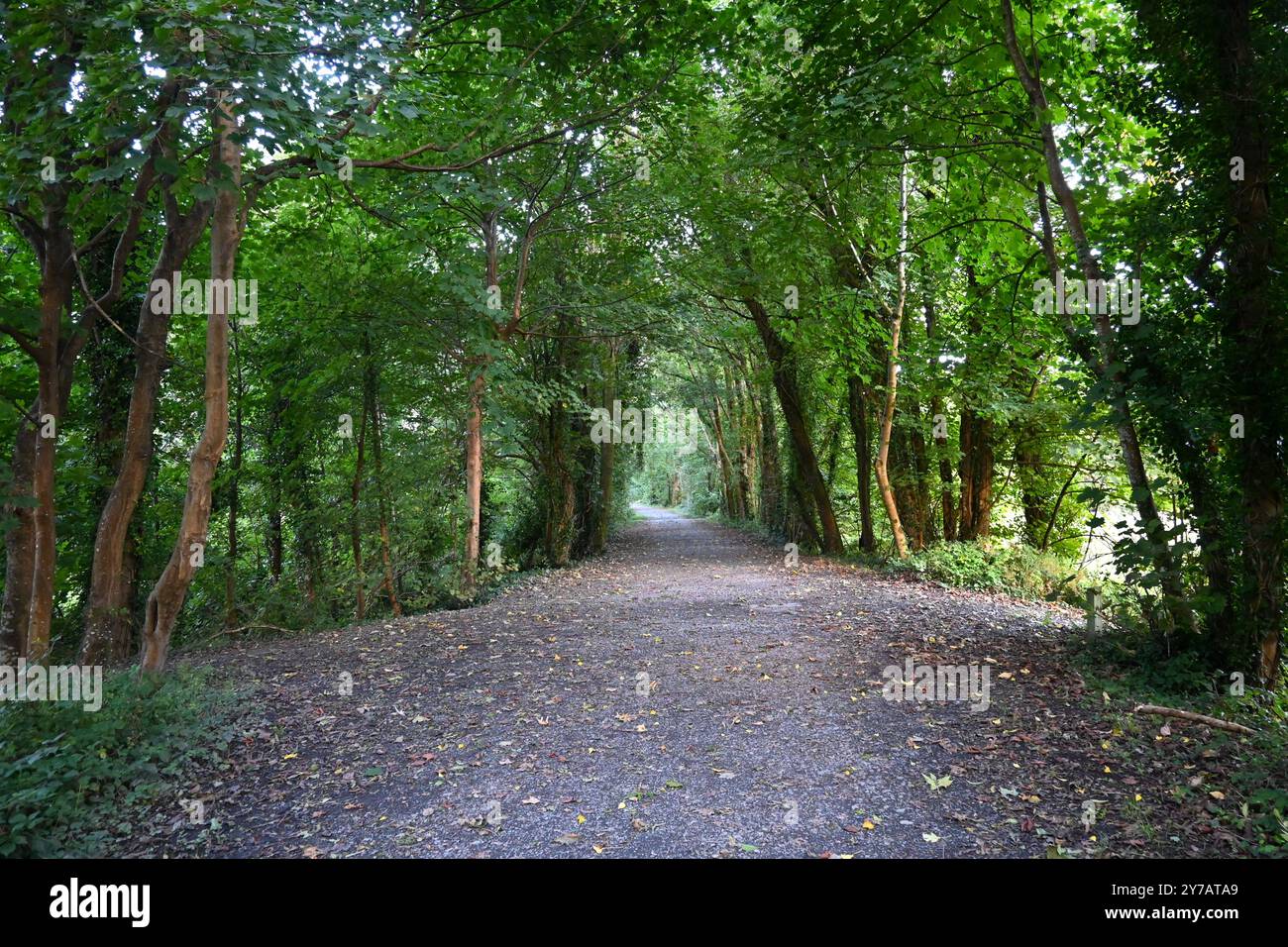 Mawddach Trail built on old rail tracks in Eryri National Park ...