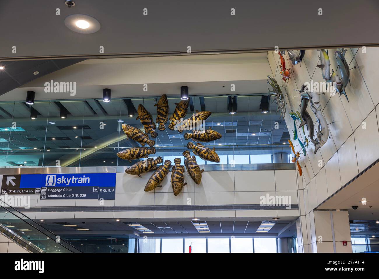 Glass floor hanging train hi-res stock photography and images - Alamy