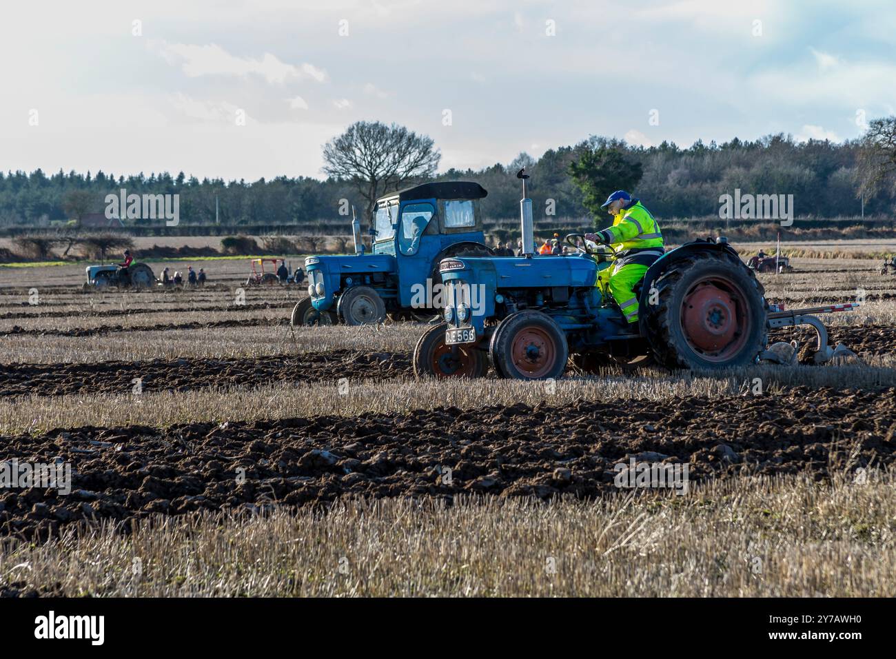 Improves the soil structure hi-res stock photography and images - Alamy