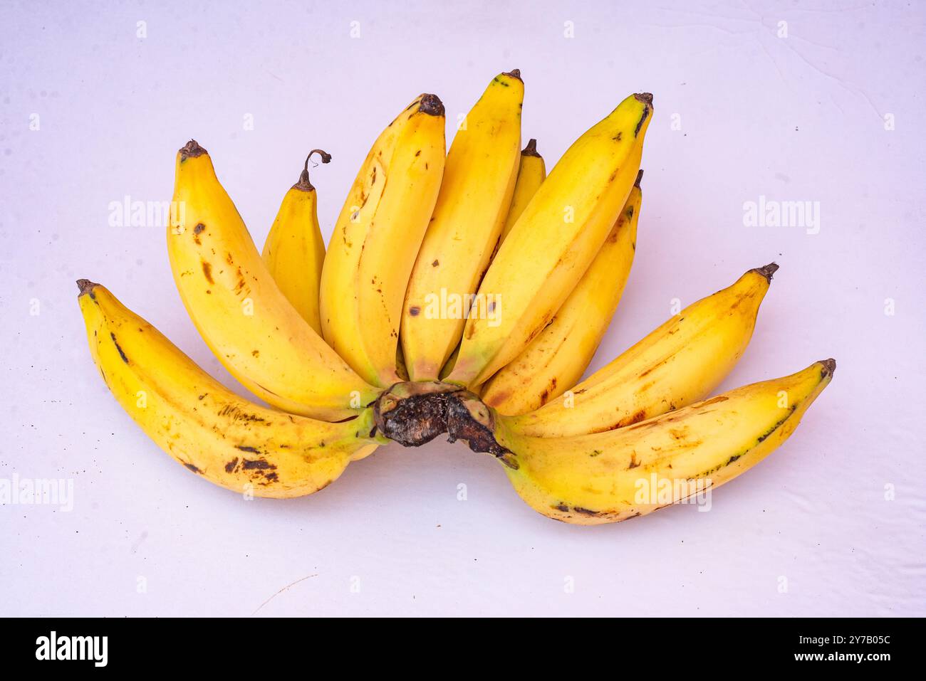 Ripe gonja - Uganda Stock Photo - Alamy
