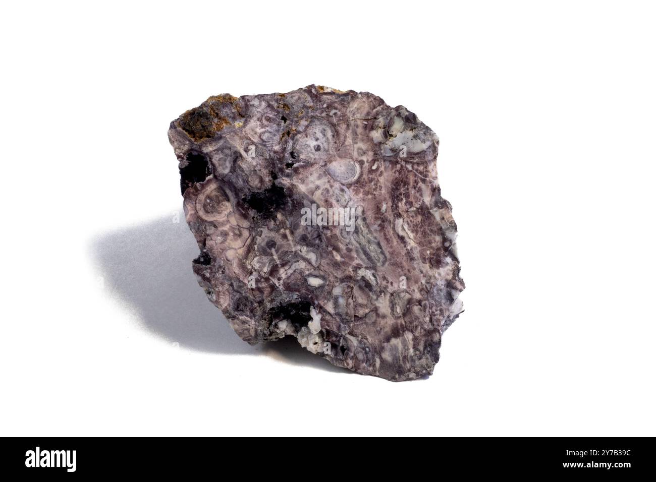 Pelitic Schist Rock placed isolated on white Background close up Stock ...