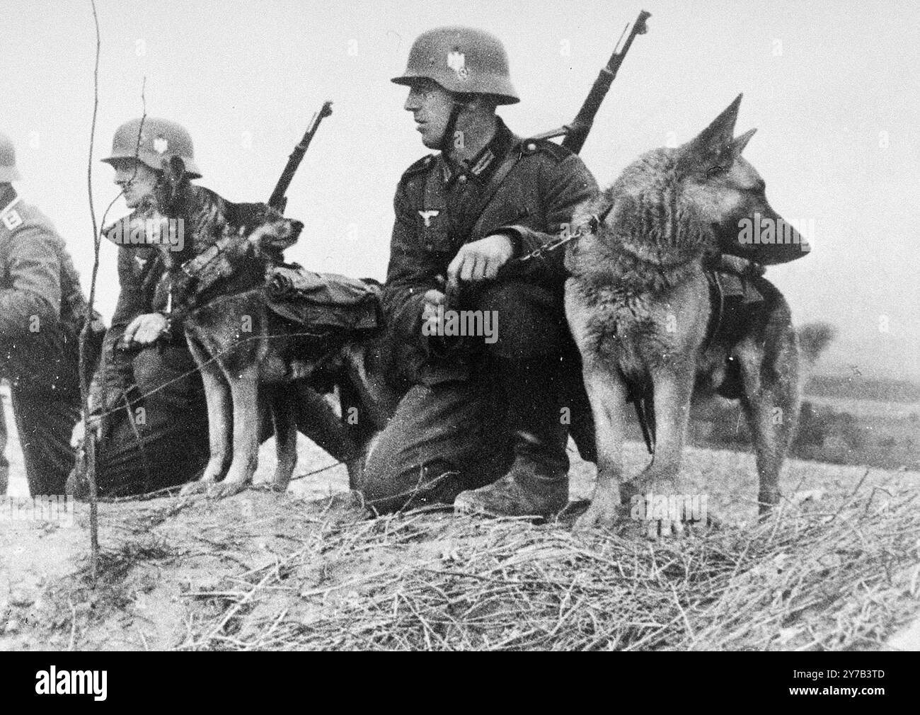 Anti partisan operation hi-res stock photography and images - Alamy