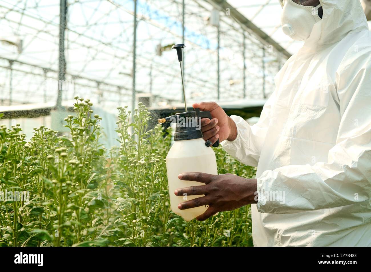 Black Man Wearing Hazmat Suit Spraying Liquid on Plants Stock Photo - Alamy