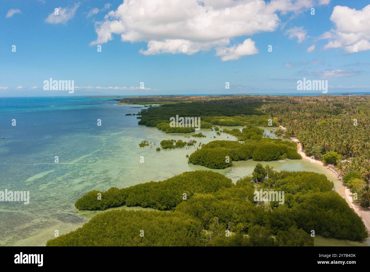 Beaches with white sands and mangrove garden in Bantayan Island. Cebu ...
