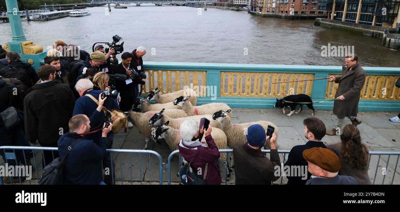 Southwark Bridge, London, UK. 29th Sept 2024. The Sheep Drive & Livery ...