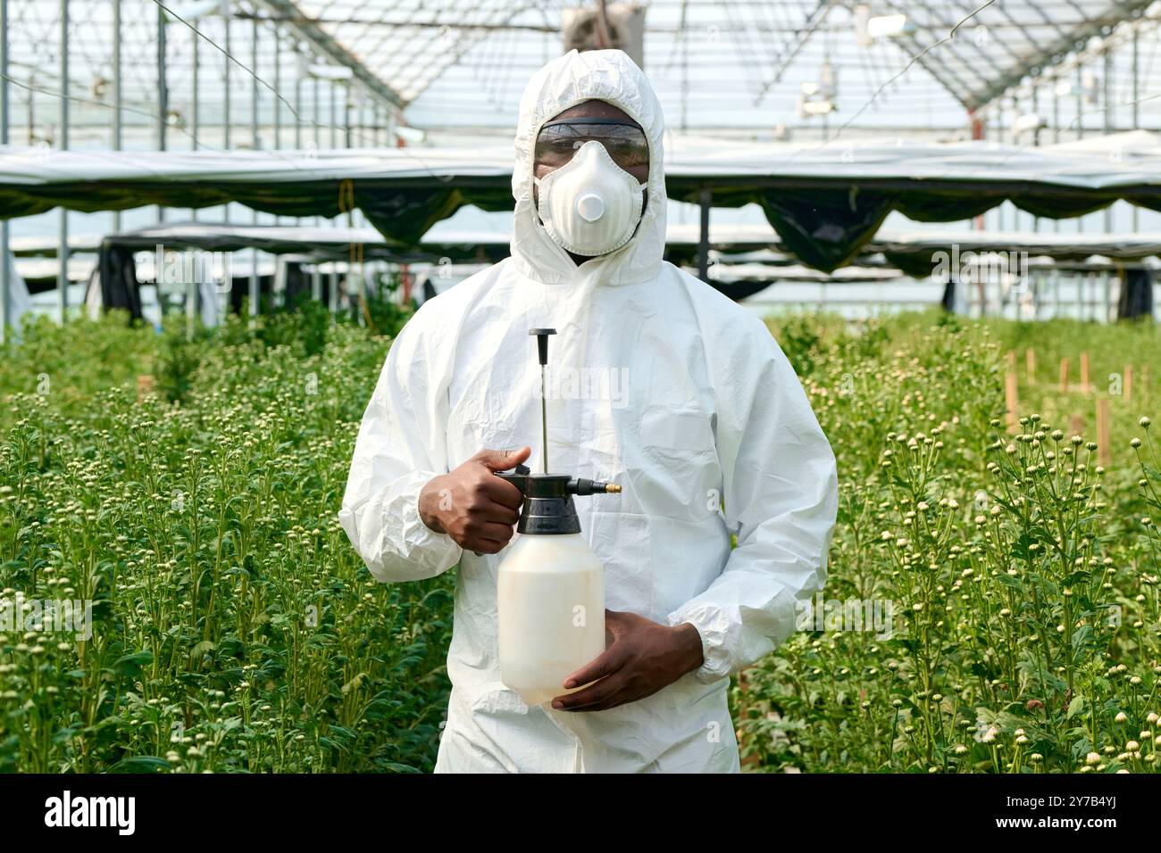 Greenhouse Worker Wearing Protective Suit Stock Photo - Alamy